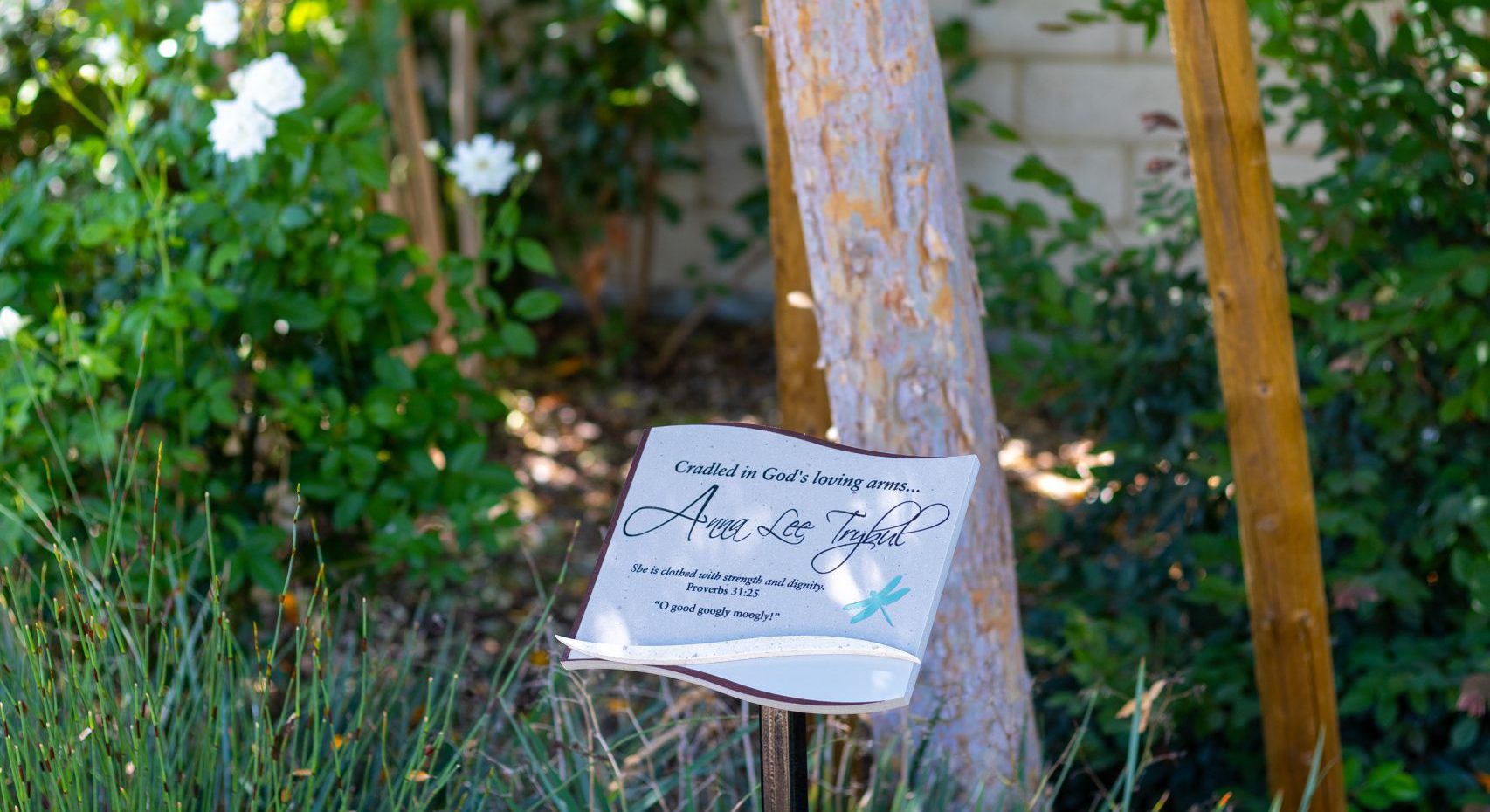 Hoffmann Hospice : Tree Charm